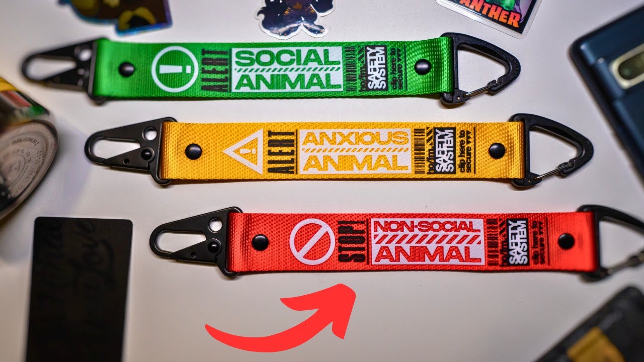 Furry Convention Essentials: Howl Out Social Bands - YouTube