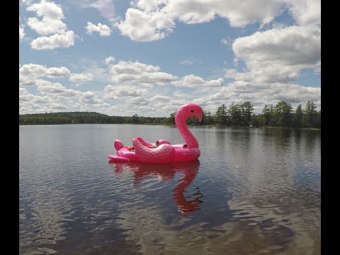 TimeLapse of Huge Flamingo Float inflating