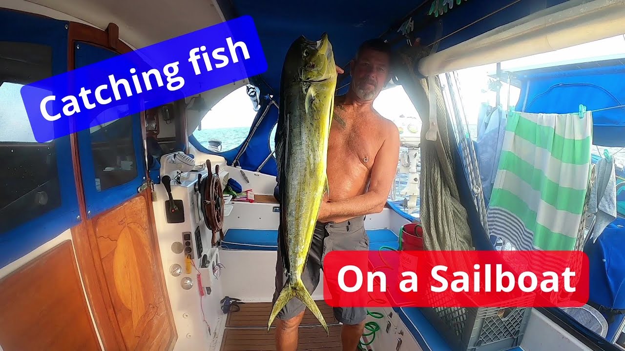 Sailboat trolling, and the fish we catch. - YouTube