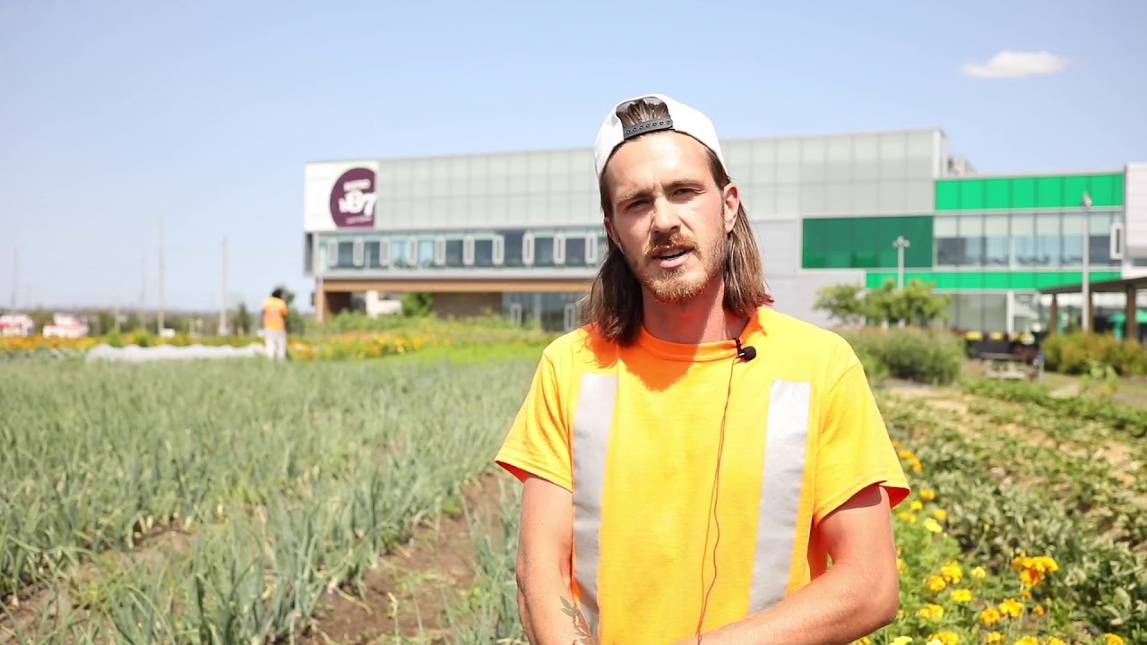Luke (Student Feature) - Durham College Centre for Food - YouTube