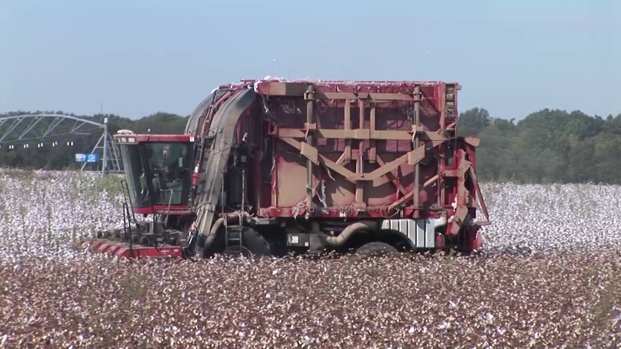 ACEP Program with Bruce Knight - YouTube