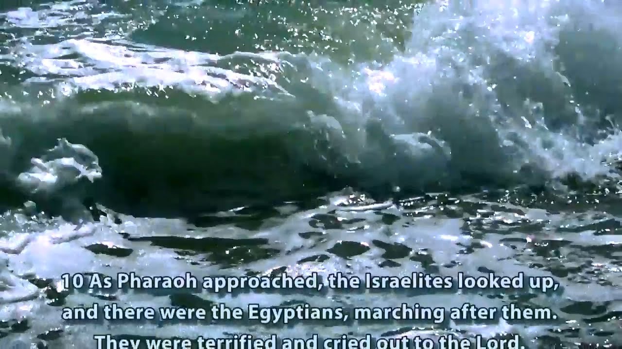 Then the Lord said to Moses, “Why are you crying out to me? - YouTube