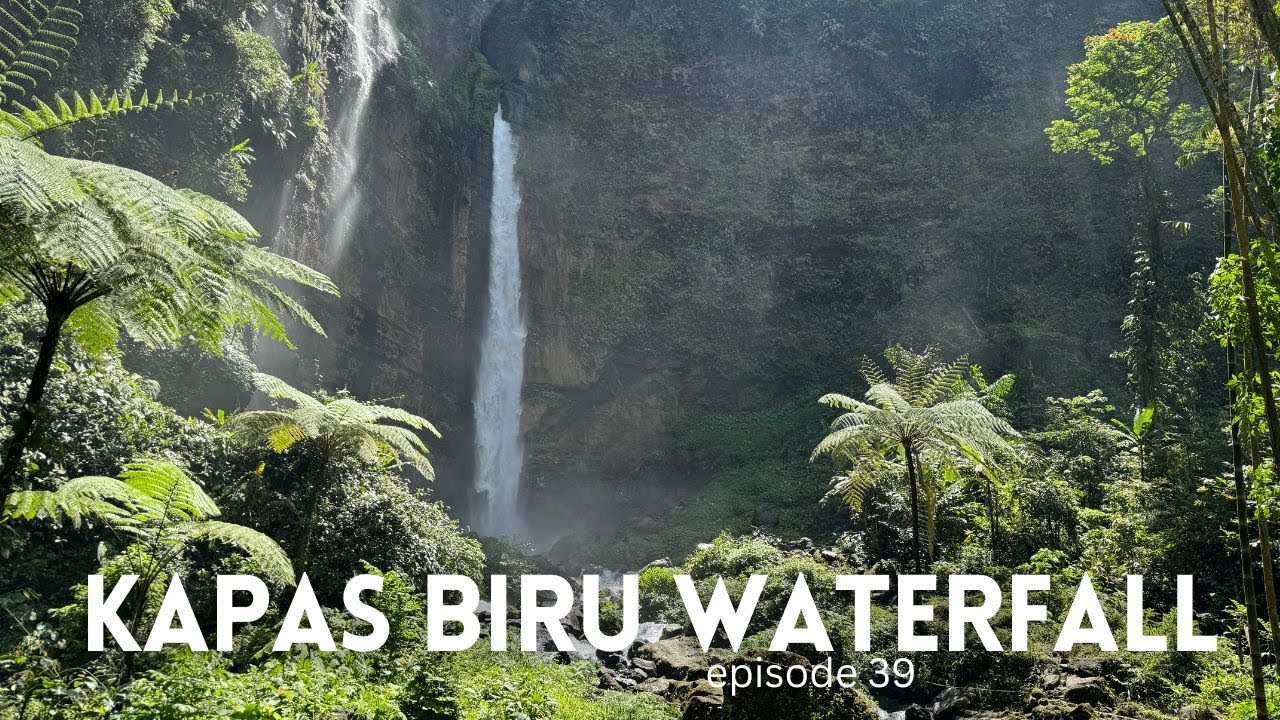This Secret Waterfall in East Java Left Us Speechless! 💦🌿🇮🇩 - YouTube