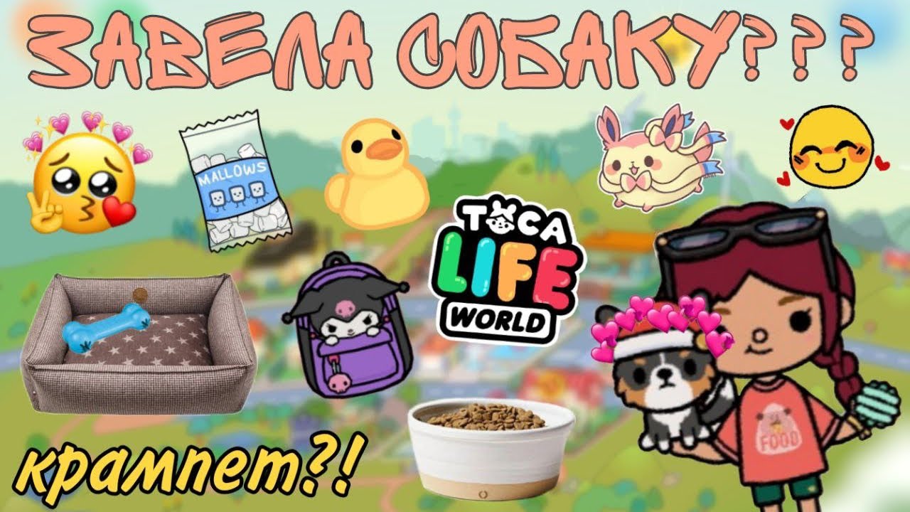 ЗАВЕЛА СОБАКУ⁉️/ toca rabbit / toca life world / toca boca - YouTube