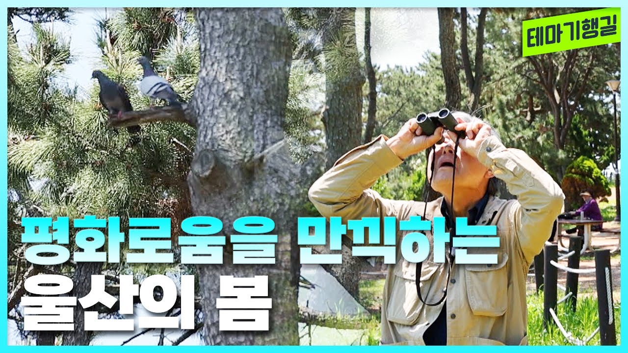 평화로움을 만끽하는 울산의 봄 | 테마기행길 - YouTube