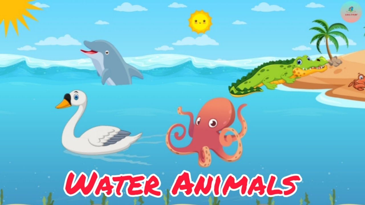 Learning Marine Fish Birds Mammals Names & Pictures For Kids. - YouTube