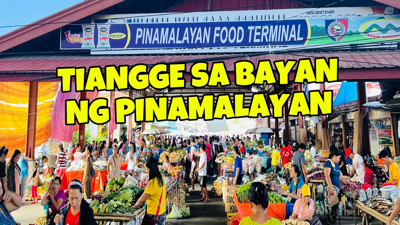 PUNTA TAYO SA BAYAN NG PINAMALAYAN ORIENTAL MINDORO | Zach Zia - YouTube