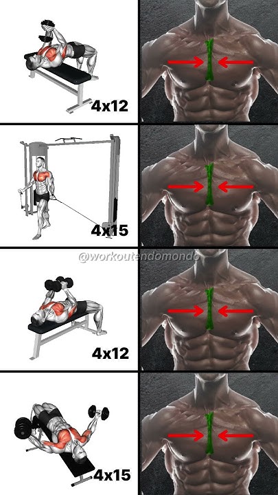Sculpt Your Chest: Best Inner Chest Workouts for Men to Build Muscle! - YouTube