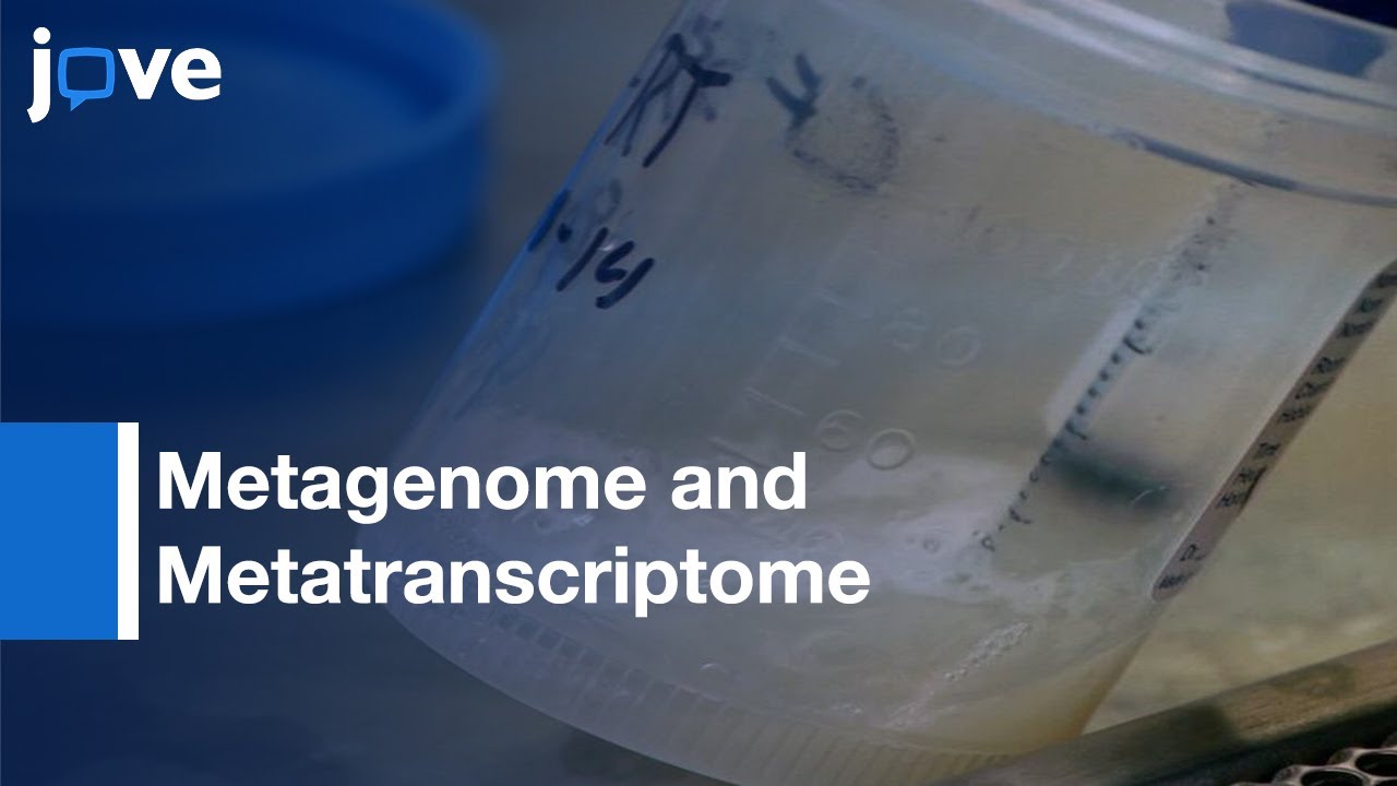 Metagenome and Metatranscriptome Sequencing - YouTube