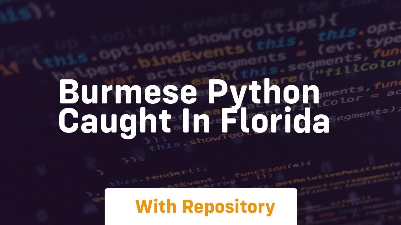 burmese python caught in florida - YouTube