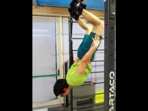 Inverted sissy squats (inversion boots, 90° knee bend), 16 inverted ...