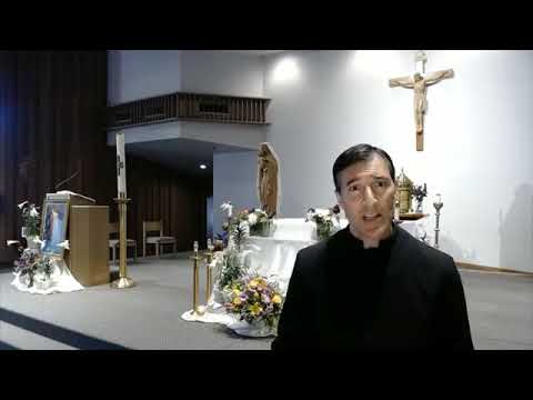 Praying with the Saints Session 4: Discernment of Spirits with St ...