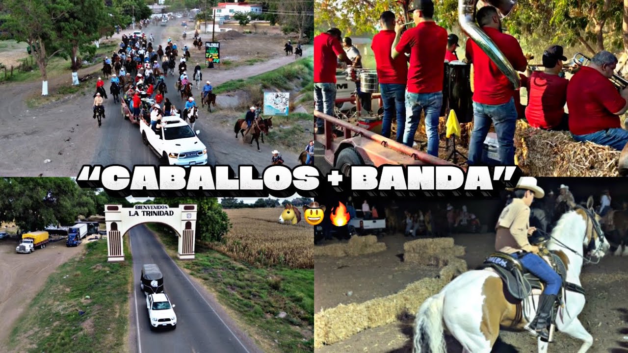 🔴”¡Caballos bailando al ritmo de la banda! 🎶 Así se celebró en La ...