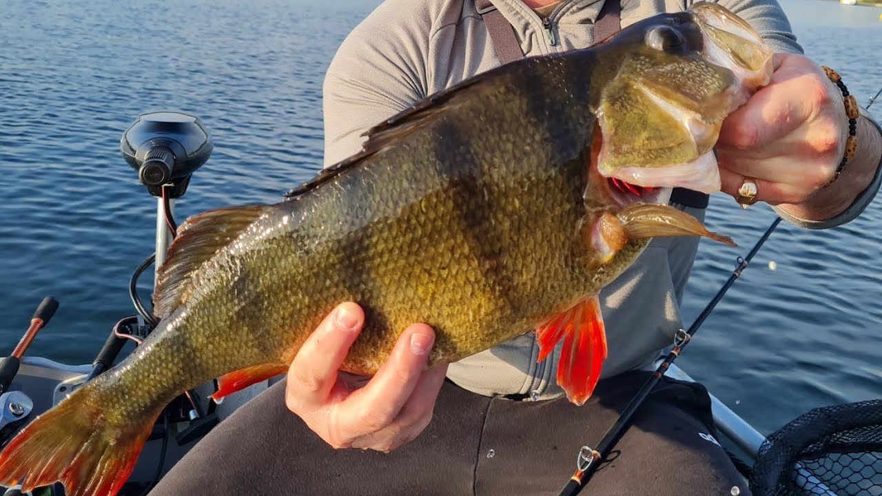 Ce lac n'a pas été pêché depuis plusieurs années - YouTube