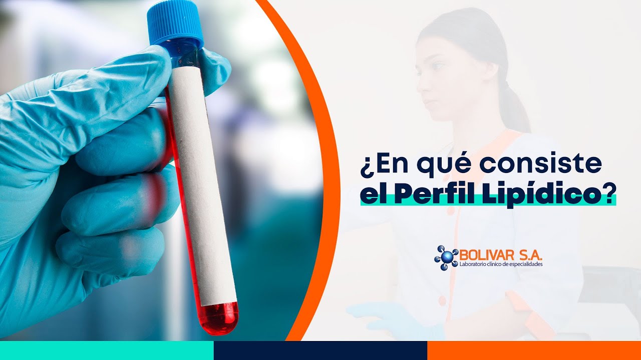 PERFIL LIPÍDICO - RIESGO CARDIOVASCULAR - YouTube