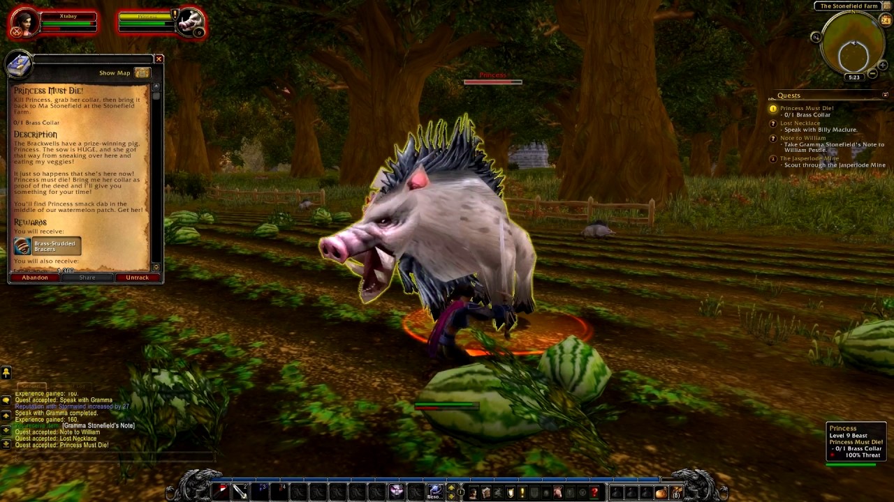 World Of Warcraft Princess Must Die! Quest HD 60 FPS - YouTube