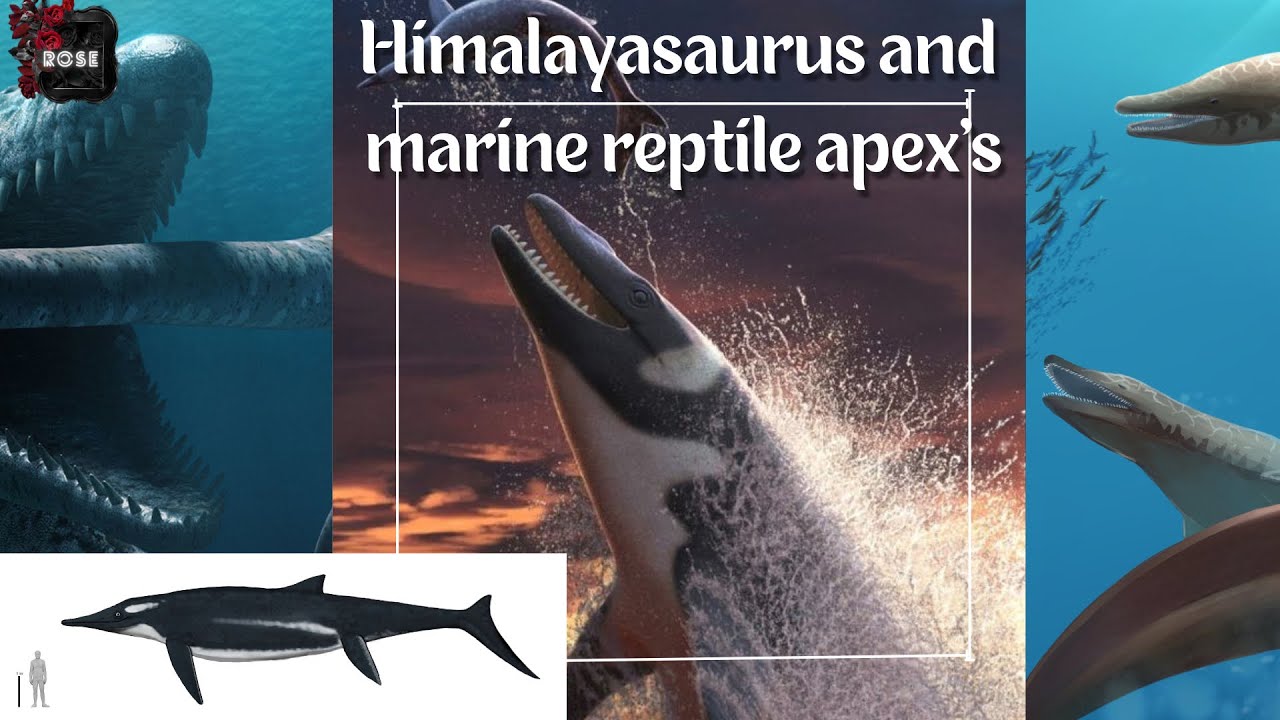 Himalayasaurus and marine reptile apex predators! - YouTube