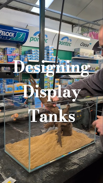 Creating display tanks 🪵🪨 #fishtank #aquascaping #aquariumfish #aquascape #shorts #fyp #creative ...
