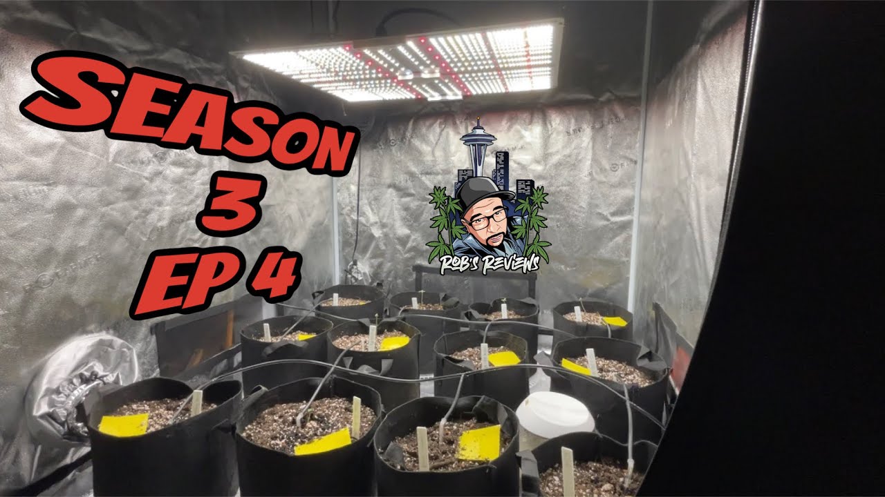 SPIDER FARMER SF4000 & 4x4 UPDATE - YouTube