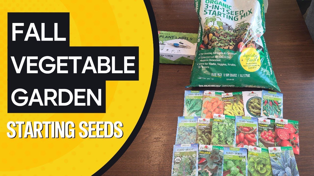 Starting Seeds for the Fall Vegetable Garden | What to Plant in the ...