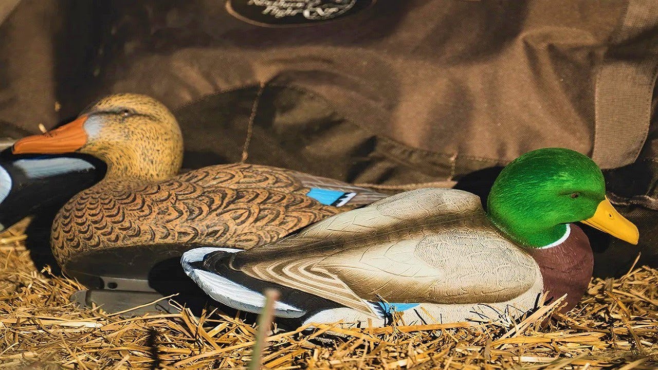 Best Duck Decoy 2023 | Top 5 New Motion Duck Decoys For Hunting - YouTube