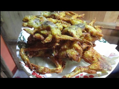 fried kabakab (bullfrog) - YouTube