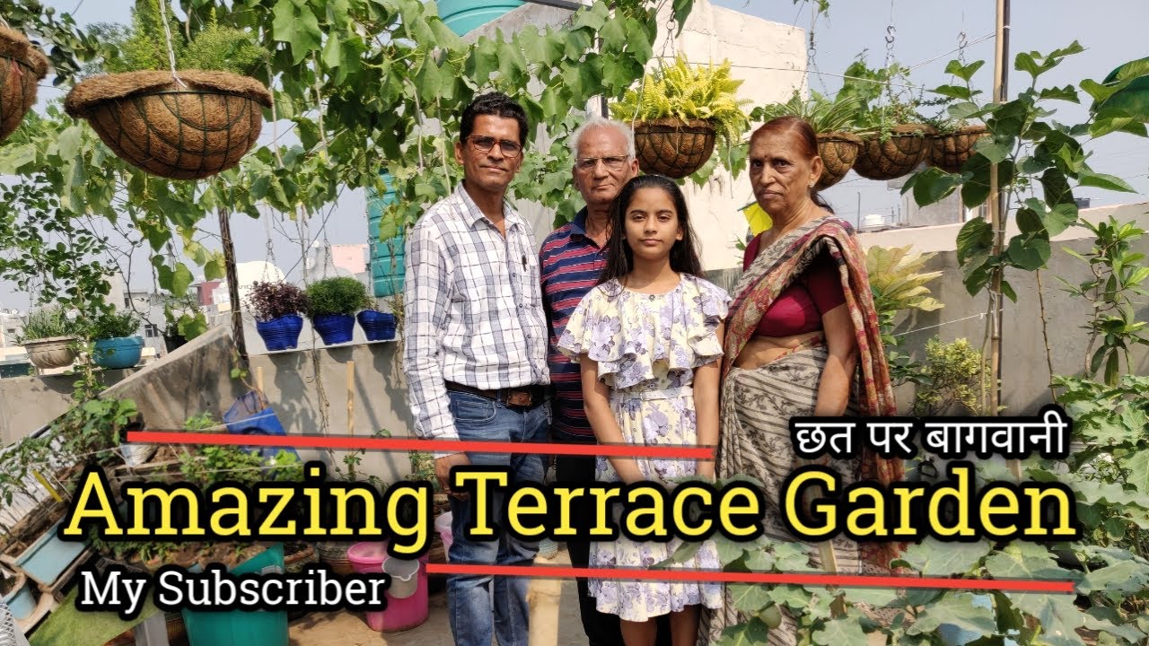 Amazing Terrace Indian Gardening | छत पर बागवानी | Vegetable Gardening ...