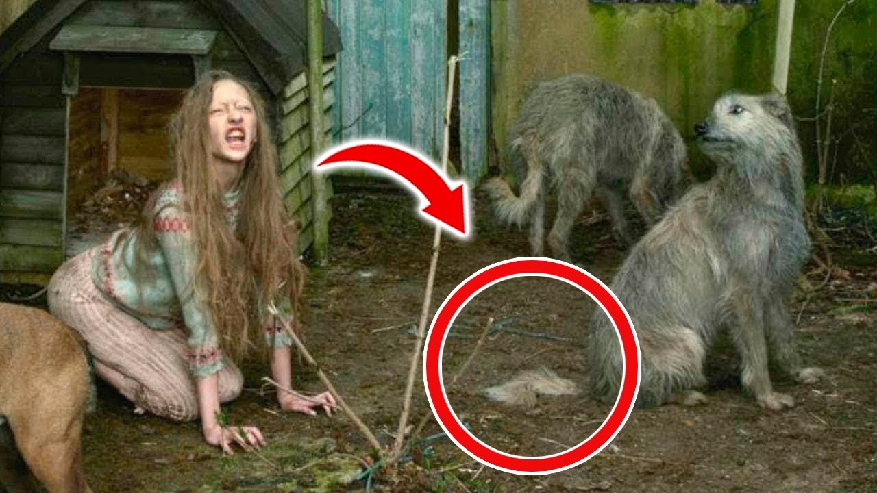 Animales Haciendo De Padres Con Humanos 😱 - YouTube