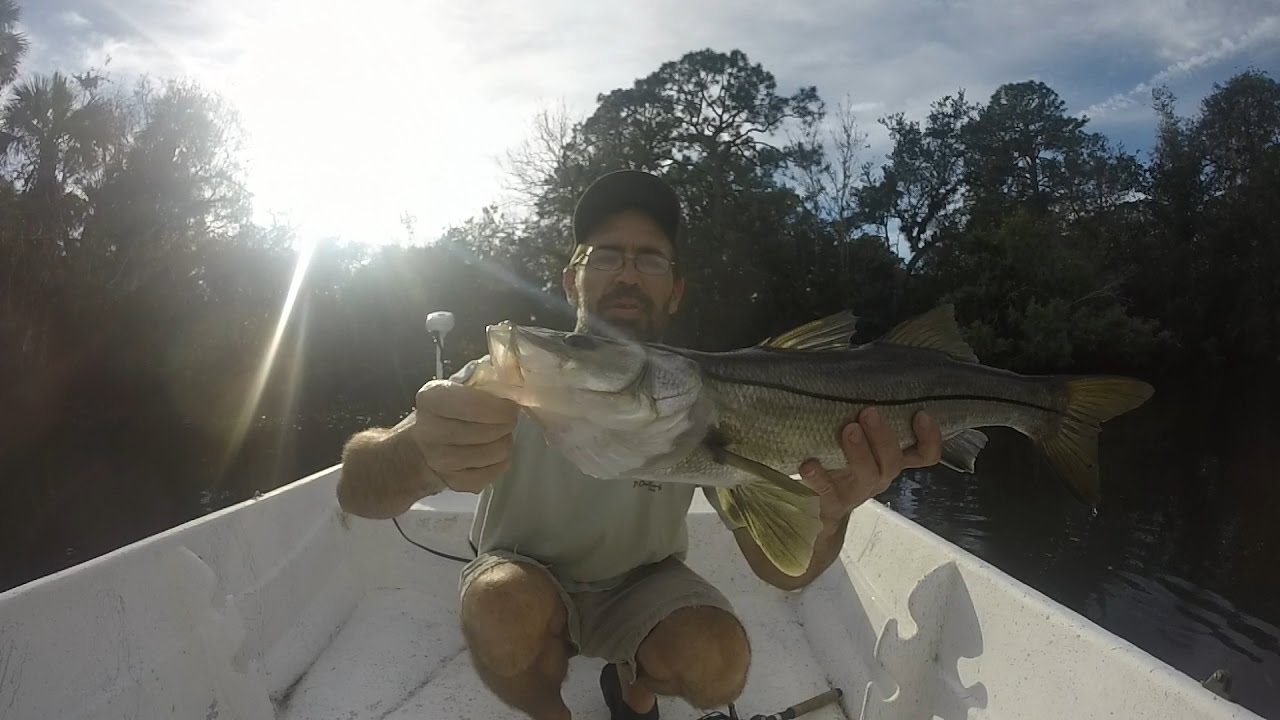 River Fishing For Freshwater Snook And Bass - YouTube