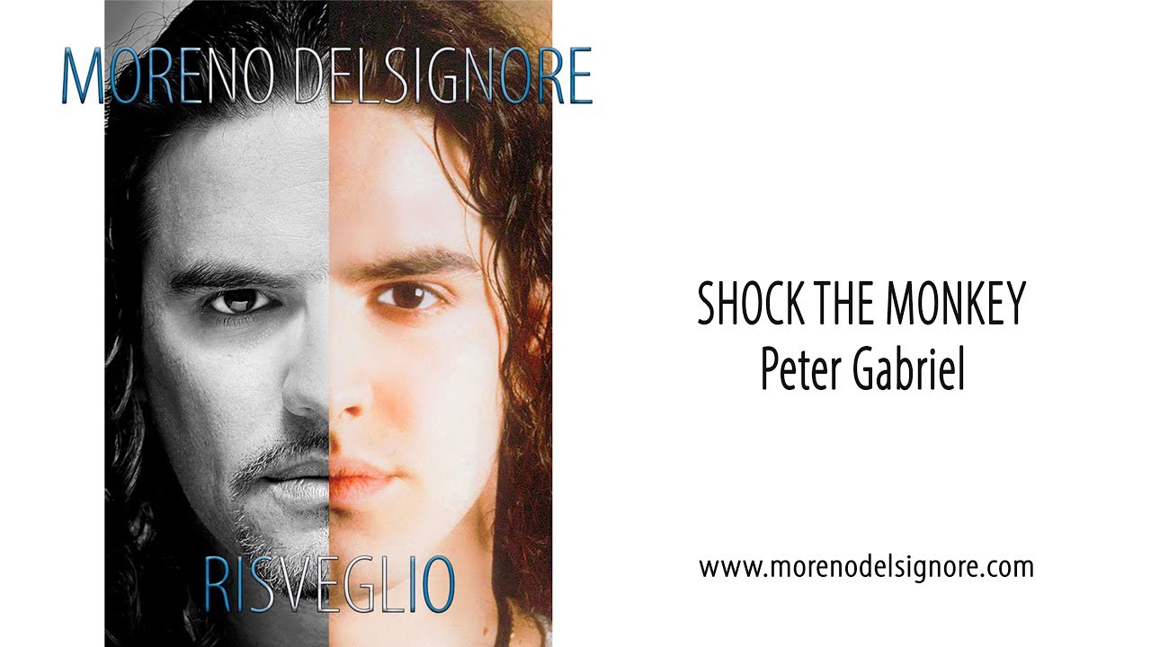 Shock the Monkey - Peter Gabriel Cover [LIVE FullHD - HQ] - YouTube