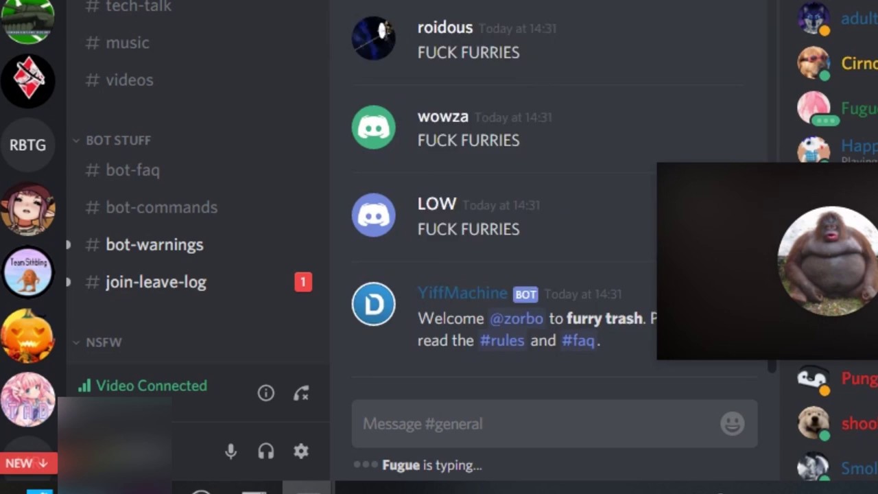 RAIDING FURRY DISCORDS! - YouTube