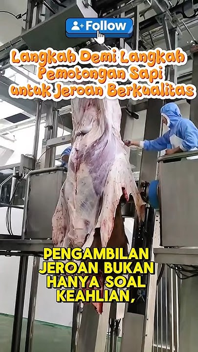 Pengambilan jeroan sapi #shortvideo #fyp #shorts - YouTube