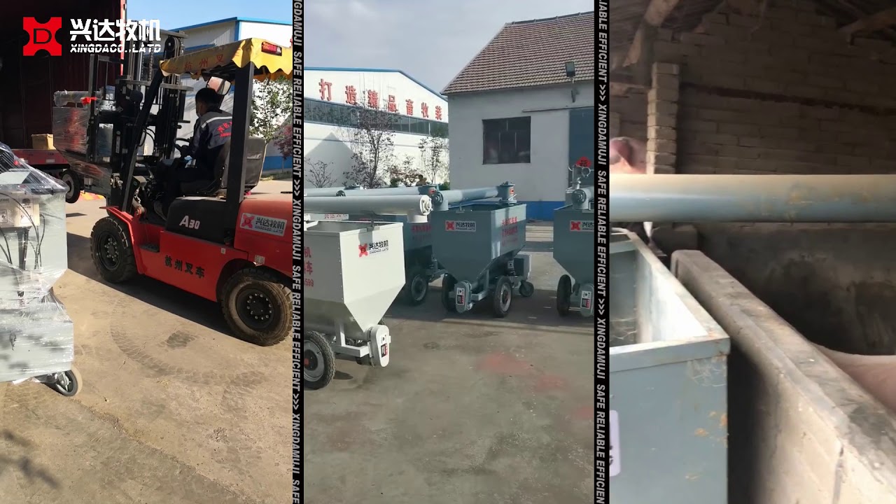 Pig feeding trolley pig barn equipment - YouTube
