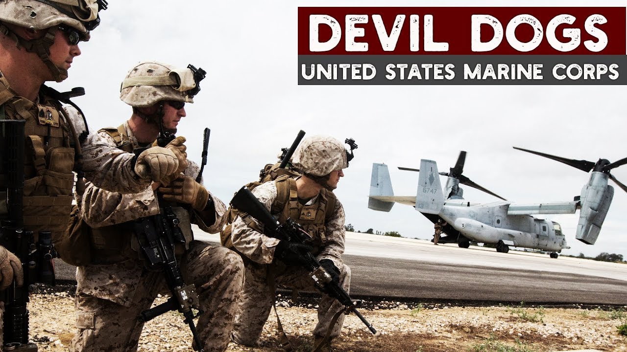 USMC | Mad dogs of the US marine corps - YouTube