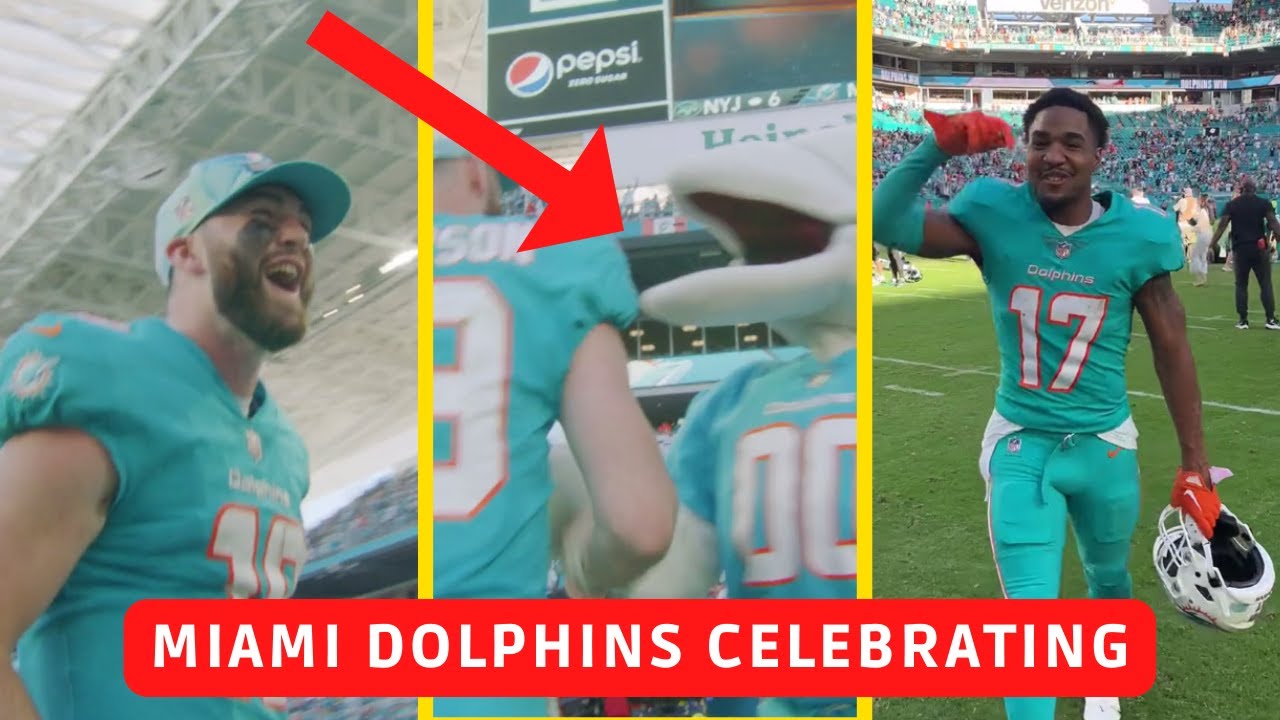 Miami Dolphins players celebrating - Miami Dolphins vs New York jets ...