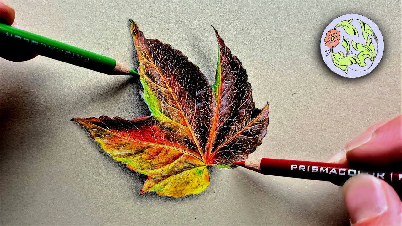 Trick for Leaf Veins 🍁 Draw Fall Leafes only with Colored Pencils - YouTube