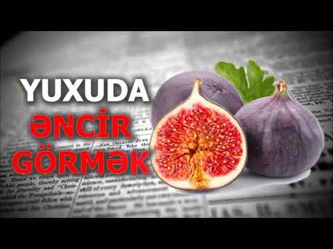 Yuxuda əncir görmək - YUXUDA ENCİR - encir yuxu yozma (Səsli)