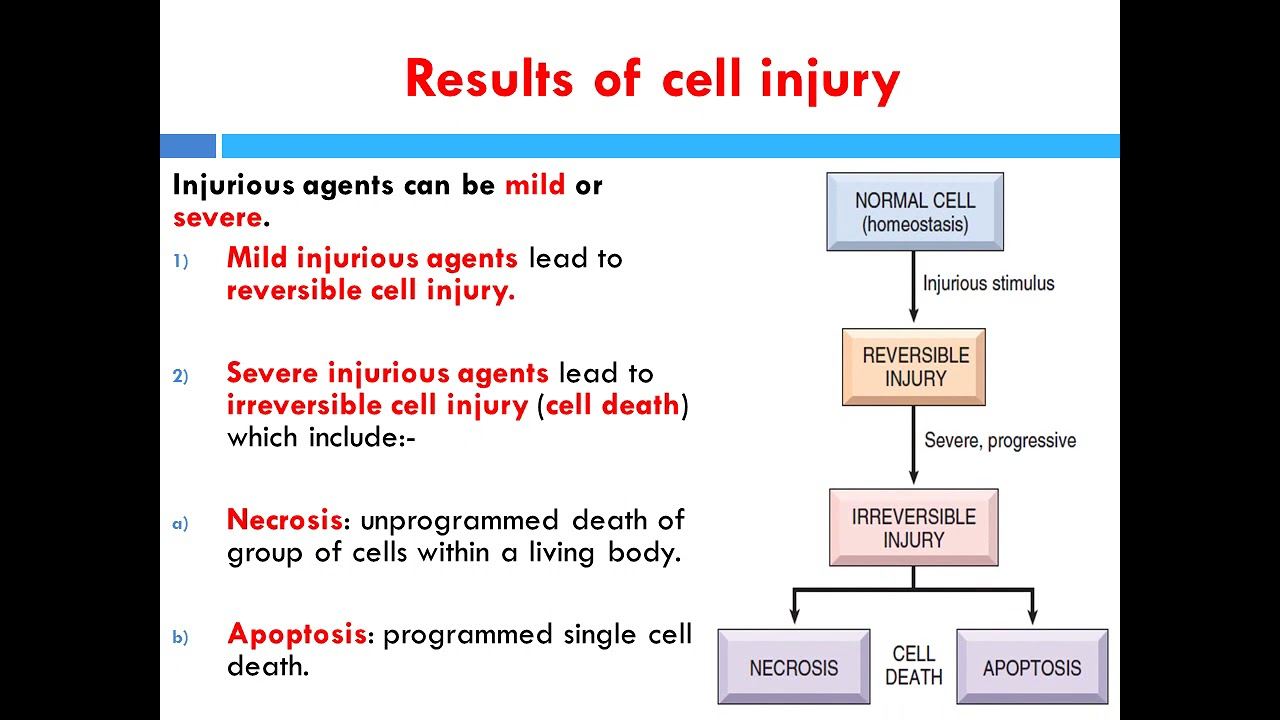 Reversible cell injury - YouTube
