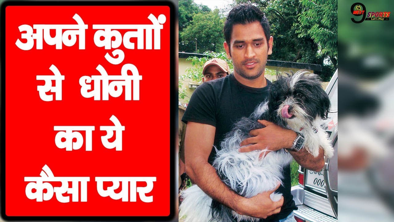 इंग्लैंड दौरे से पहले धोनी अपने कुत्तों को कहां घूम रहे | MS Dhoni With ...