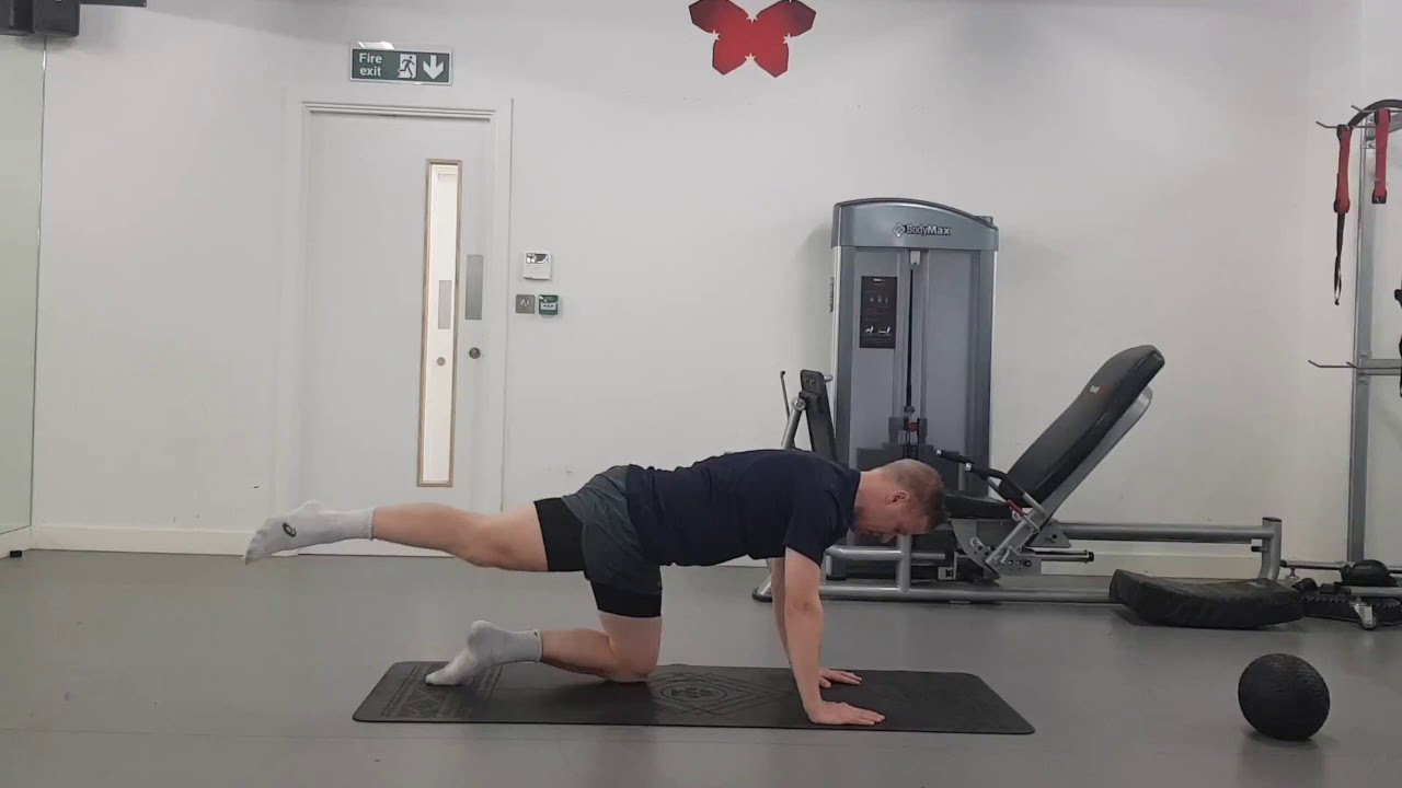 Hip Circles in 4 Point - YouTube