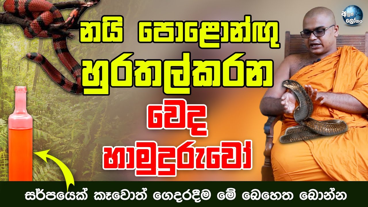 නයි පොළොන්ඟු හුරතල්කරන වෙද හාමුදුරුවෝ - Treatment for snake attacks in ...