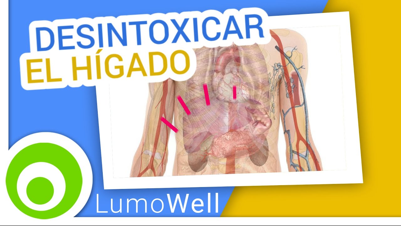 Desintoxicar el hígado: Remedios naturales, alimentos y plantas ...