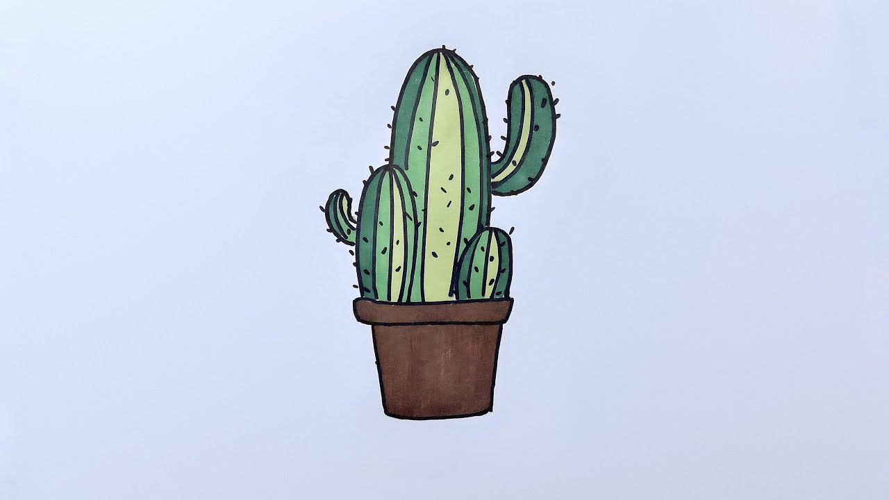 Cactus Tumblr Transparent