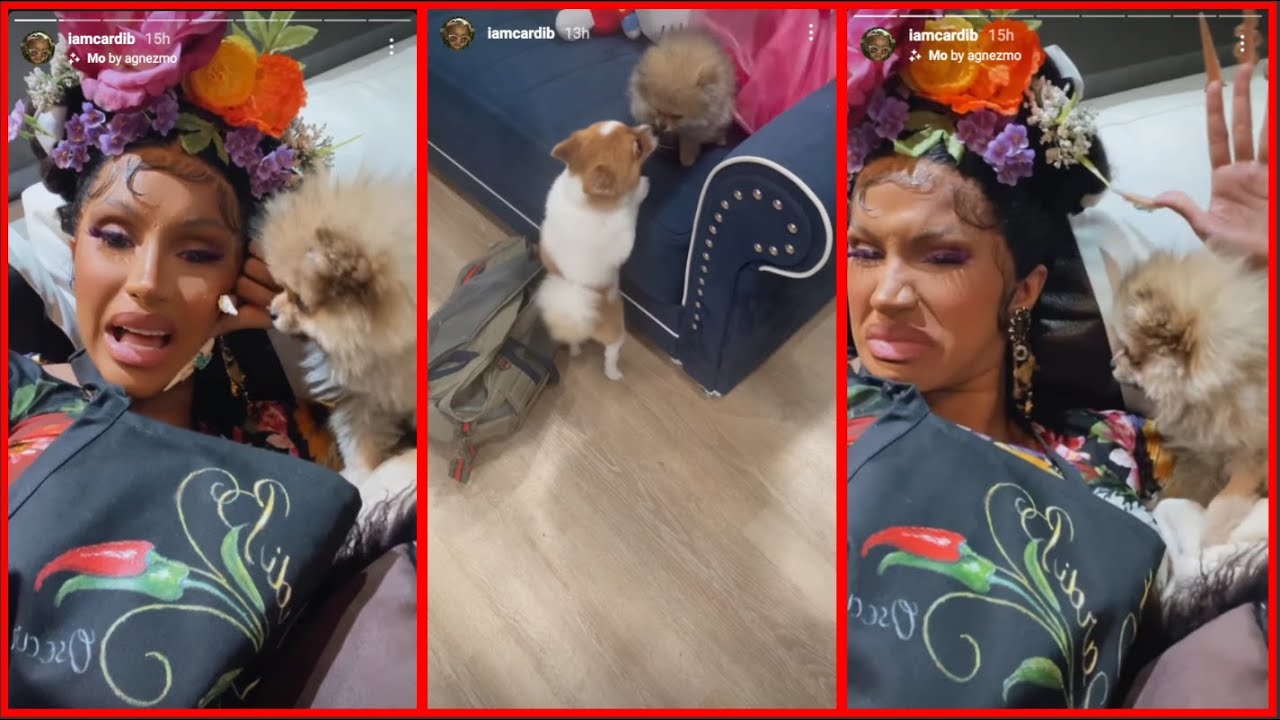 Cardi B & That Dog 🐕 - YouTube
