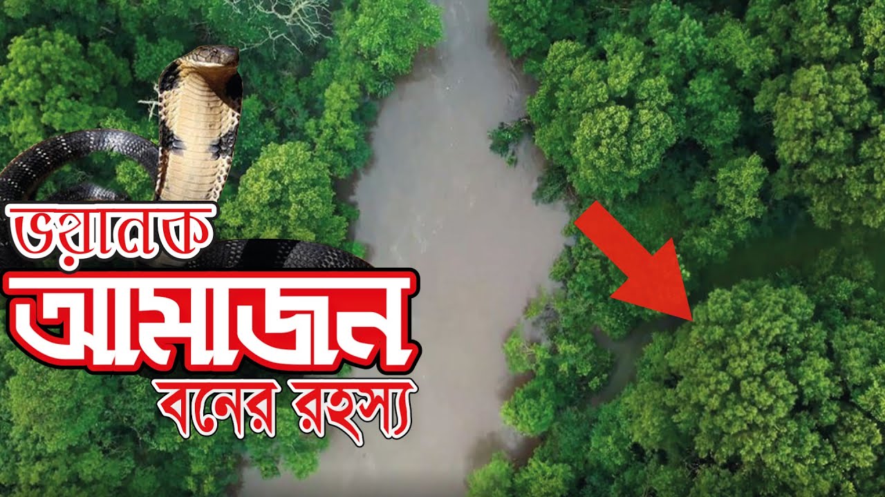 আমাজন বনের রহস্য || amazon jungle ||amazon rainforest in bangla|| Janar ...