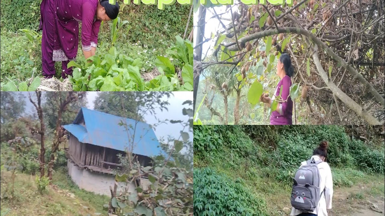 phupu Didi sang vet vayese purano ghar pani gaiyo yesto vayexa hamro ...