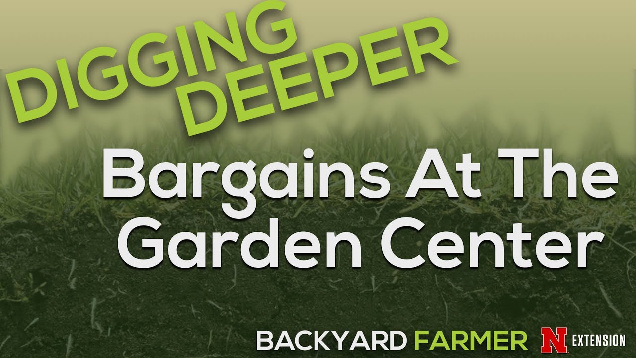 Digging Deeper - Bargains at the Garden Center - YouTube