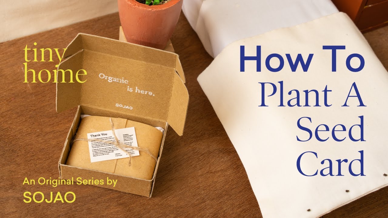 How To Plant A Seed Card | Zero Waste Packaging 🌱 - YouTube
