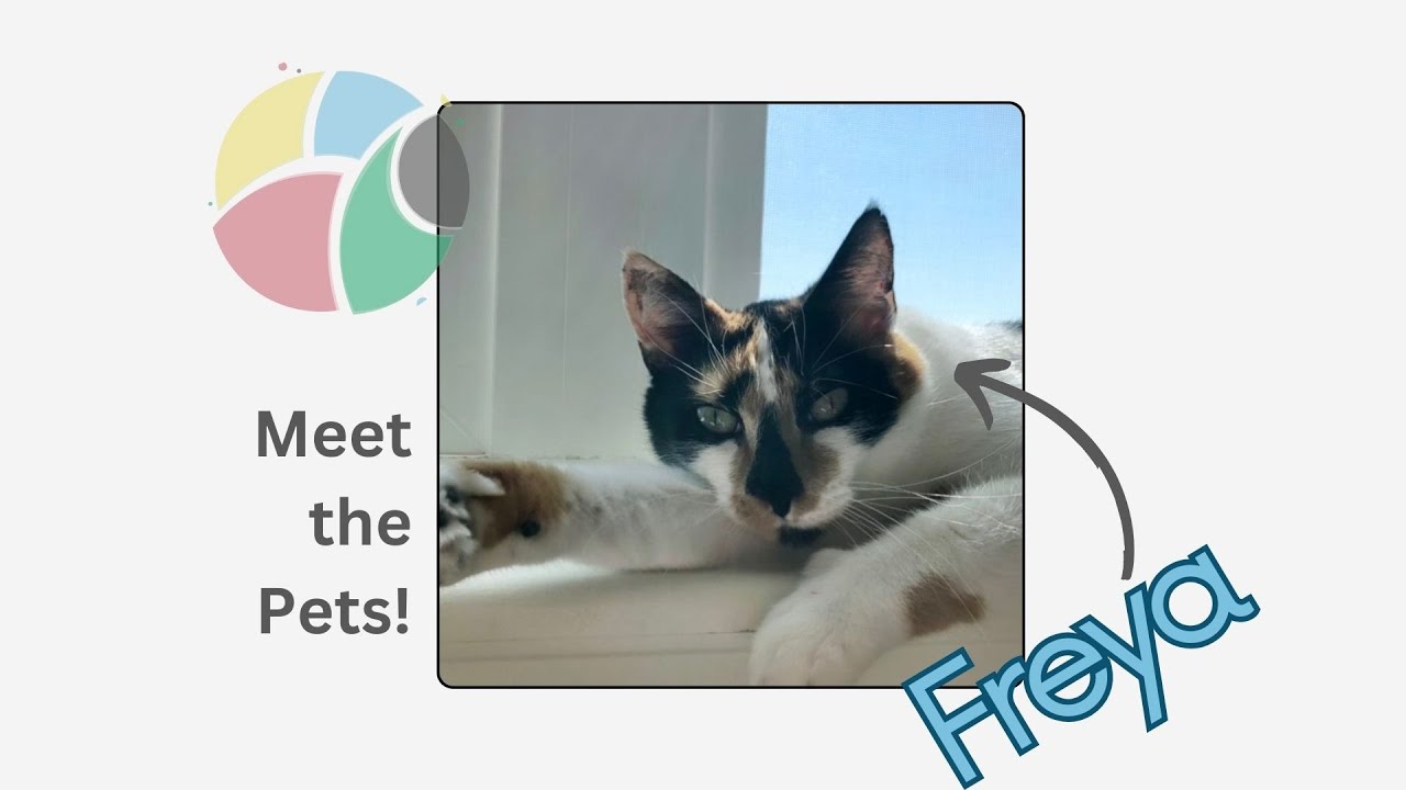 Meet the Pets: Freya! - YouTube