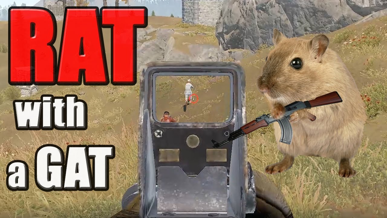 Solo Rust: Rat with gat - YouTube